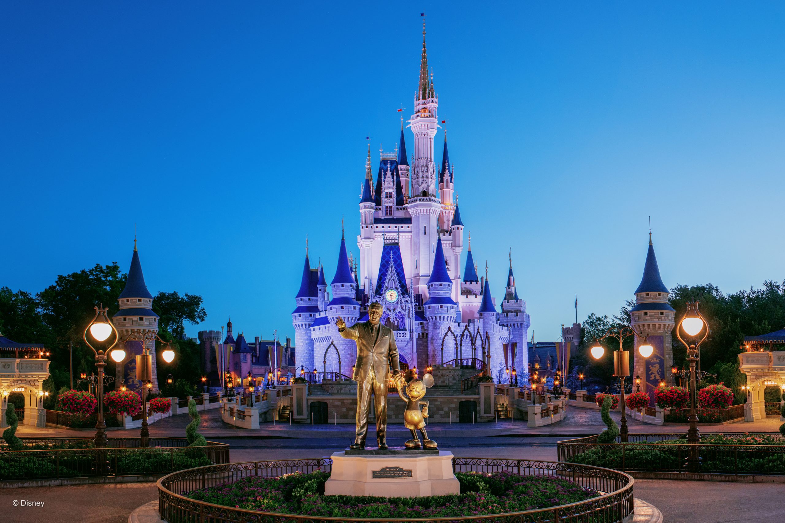 Walt Disney World | Kingdom and Cruise Travel